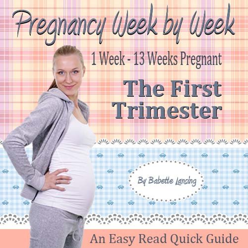 Amazon | Pregnancy Books For First Time Moms: The First Trimester Book ...
