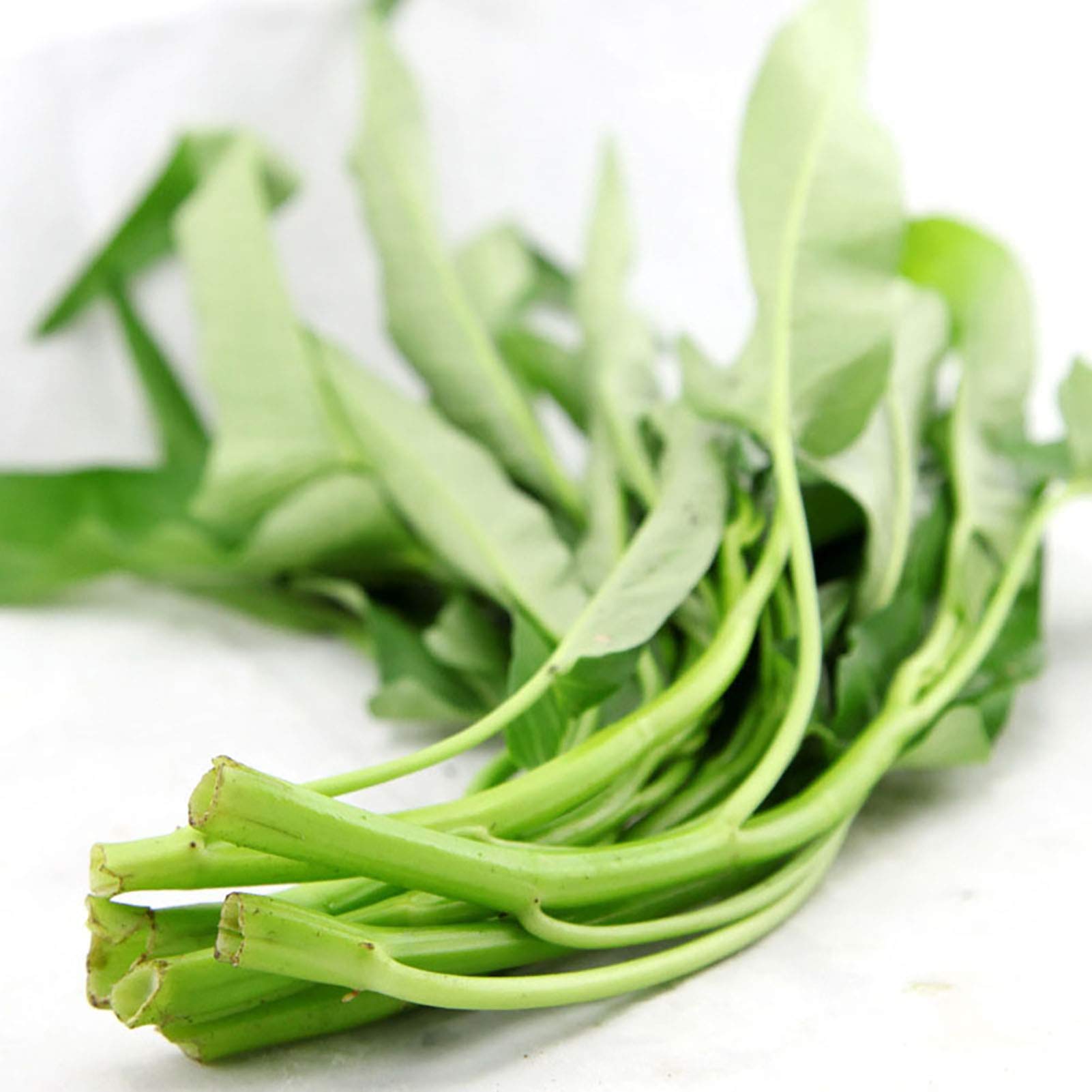 Buy 500Pcs/Bag Water Spinach in Spring Humidity Prefer tious Natural ...