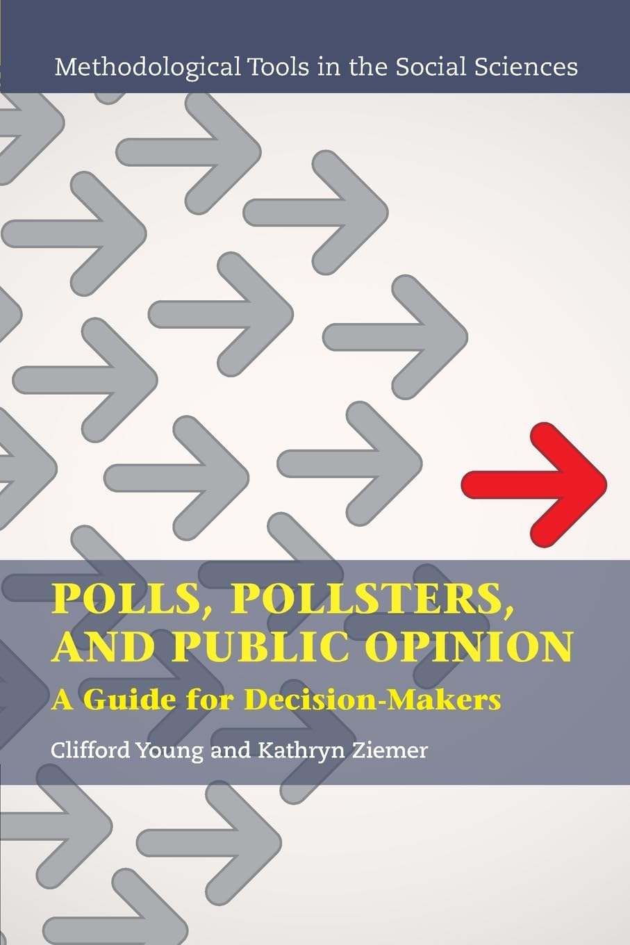 Amazon.com: Polls, Pollsters, and Public Opinion (Methodological Tools ...