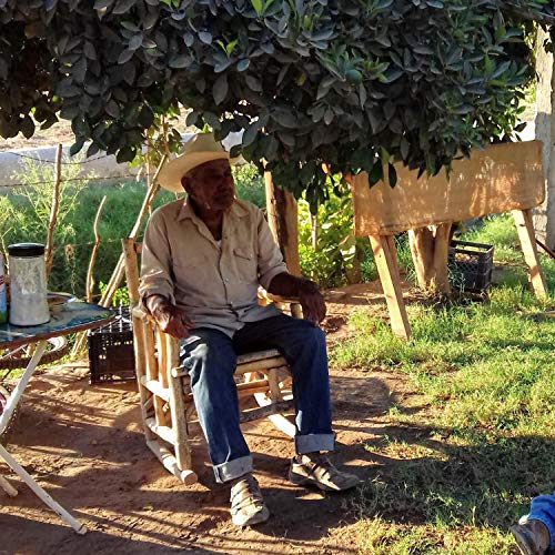 Amazon.com: Las Favoritas de Mi Padre : El Dr. Anguamea: Digital Music