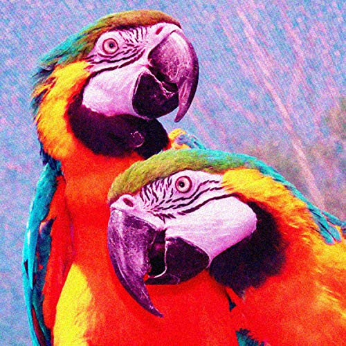 Allt blir allright by Indiana Jonathan on Amazon Music - Amazon.com