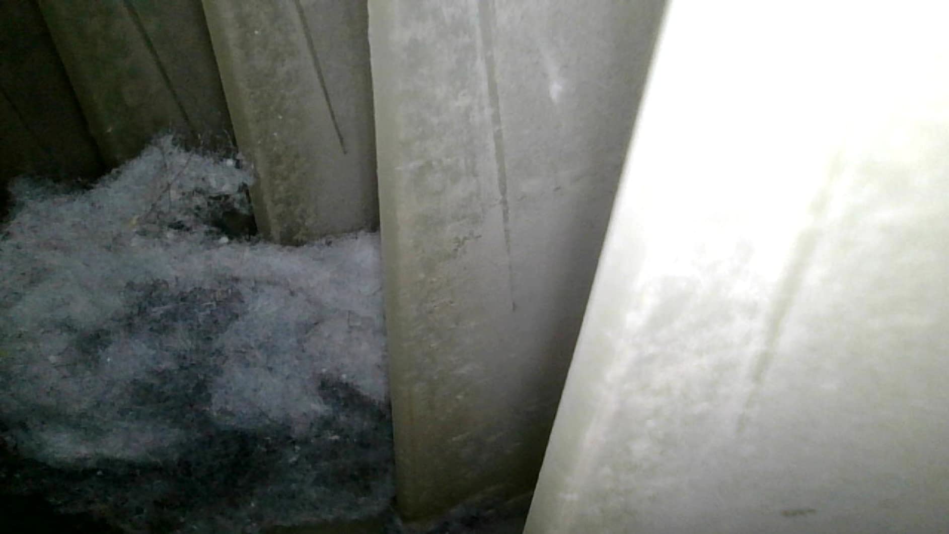 Amazon.com: DEPSTECH Triple Lens Wireless Endoscope, 1080P HD Borescope ...