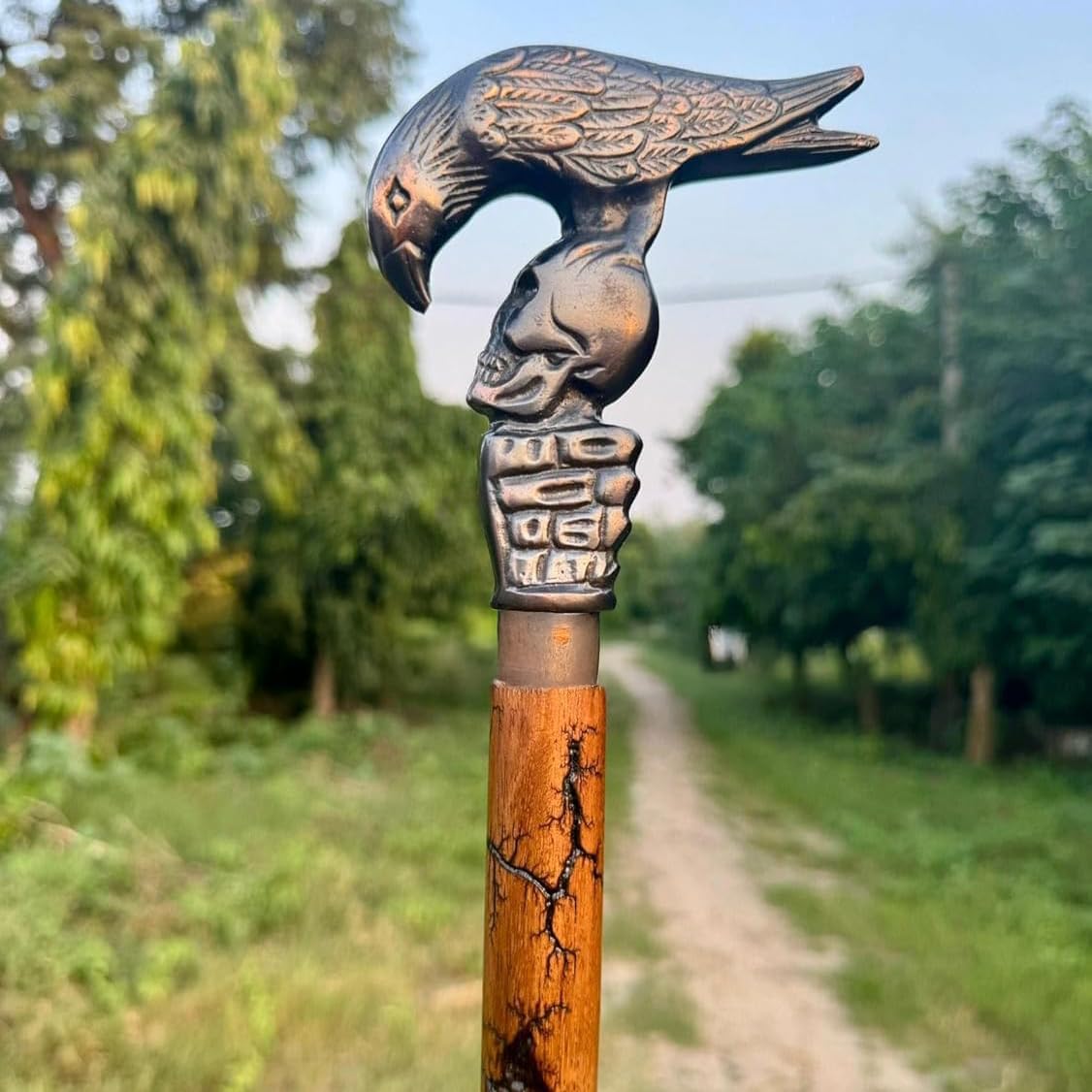 Walking Stick with Raven & Skull Handle Wooden Handcrafted – Unique ...
