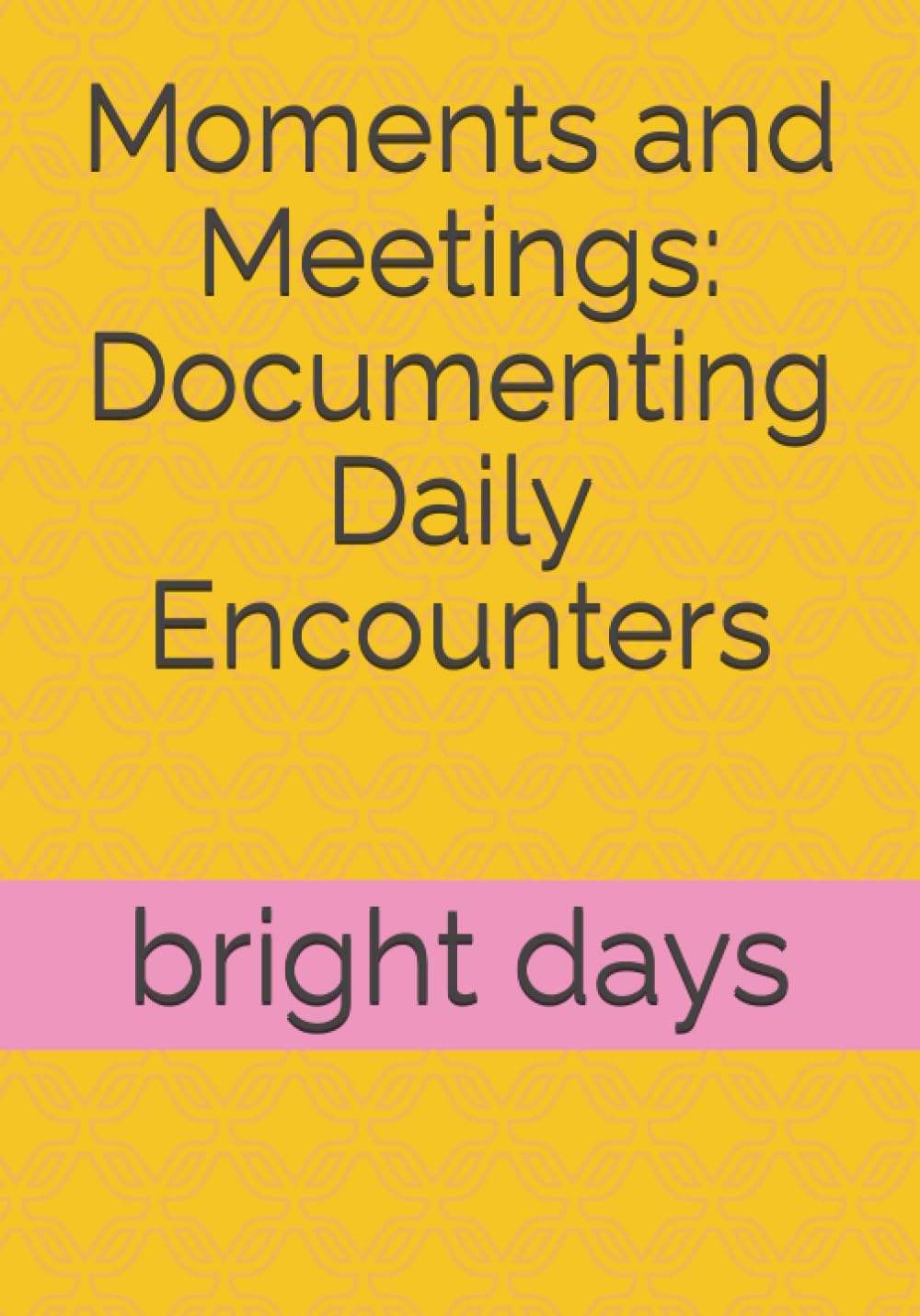 Amazon.com: Moments and Meetings: Documenting Daily Encounters: days ...