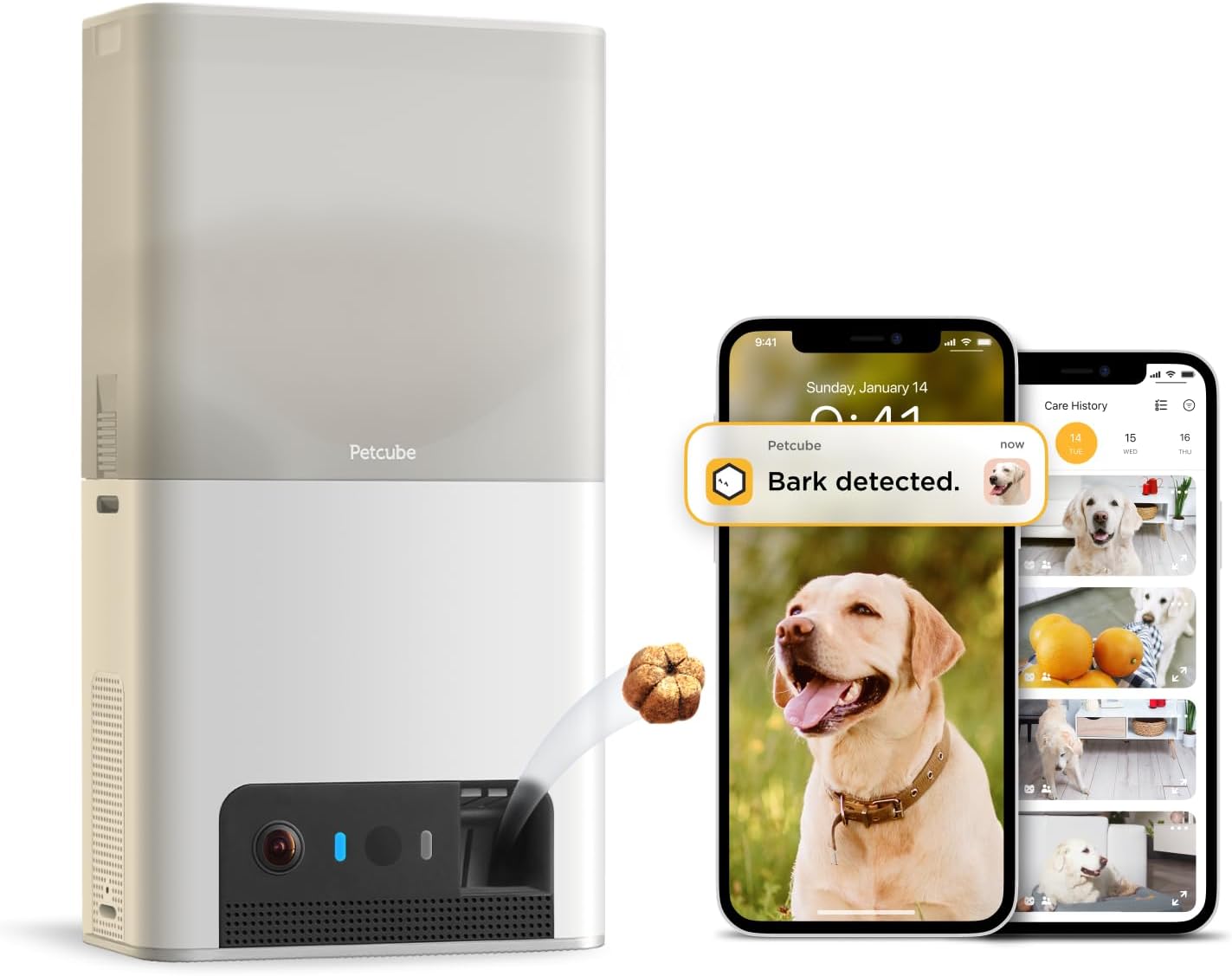 Amazon.com: Petcube Bites 2 Lite and Care Coverage Subscription ...