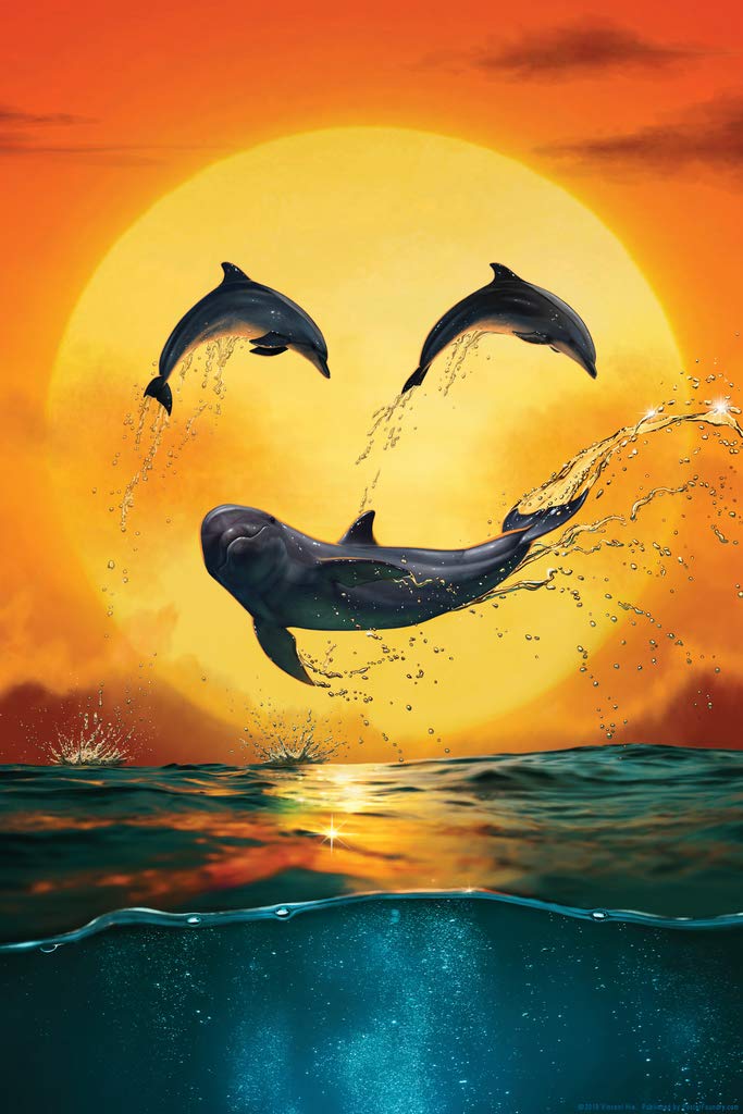 Dolphin Wallpaper With Dolphins Dolphin Cognition Fuels Discovery