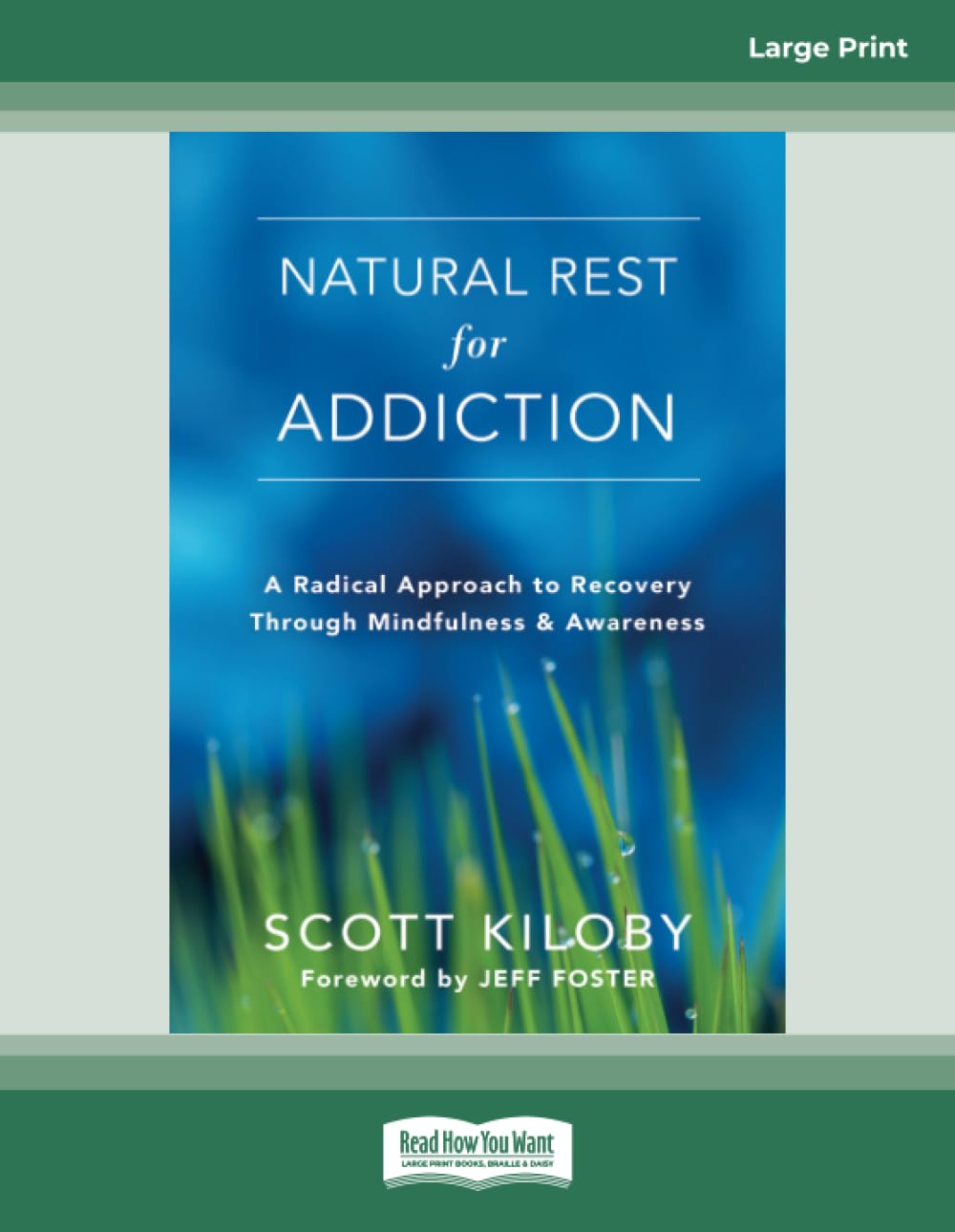 Natural Rest for Addiction: A Radical Approach to Recovery Through ...