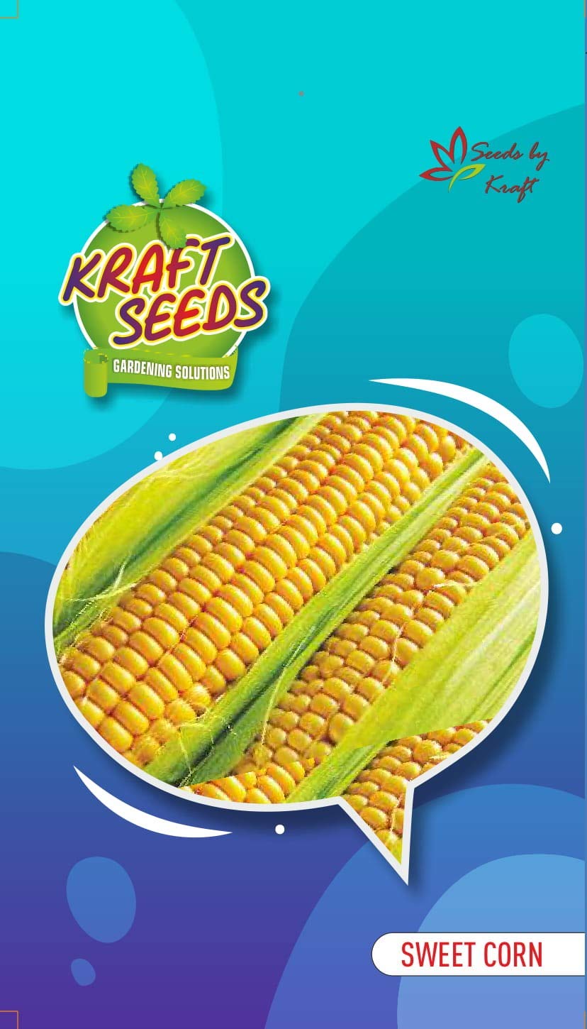 Kraft Seeds Angan Sweet Corn Vegetable Seeds with Free Agro peat Soil ...