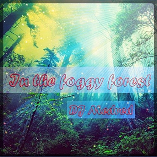 In the Foggy Forest by DJ Medved on Amazon Music - Amazon.com