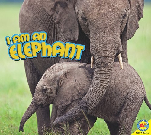 I Am an Elephant (I Am (Av2 Weigl)): Aaron Carr Steve MacLeod ...