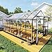 Amazon.com : HOWE 8x16x7.5 FT Polycarbonate Greenhouse Double Swing ...