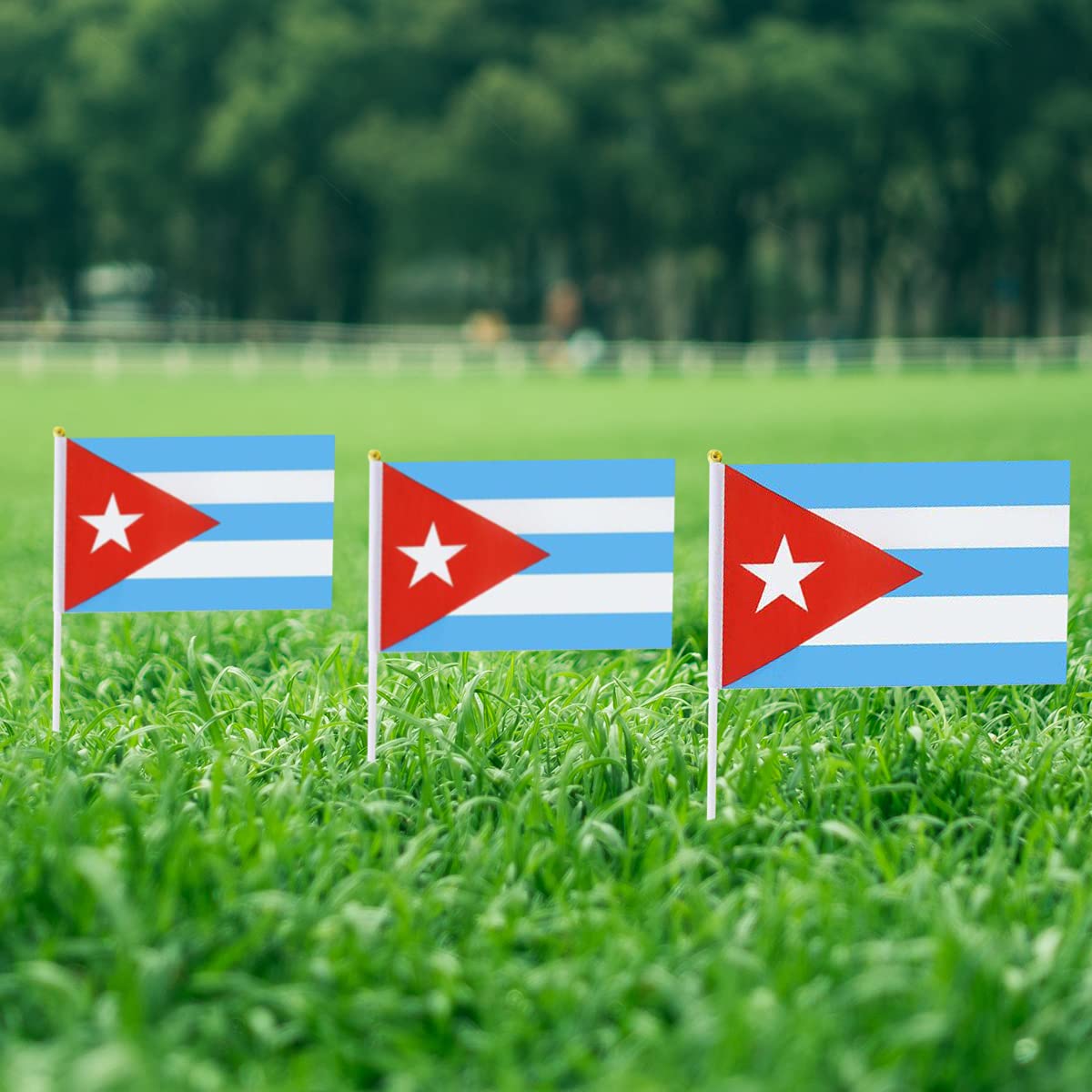 Snapklik.com : Cuba Flag Cuban Small Stick Mini Hand Held Flags ...