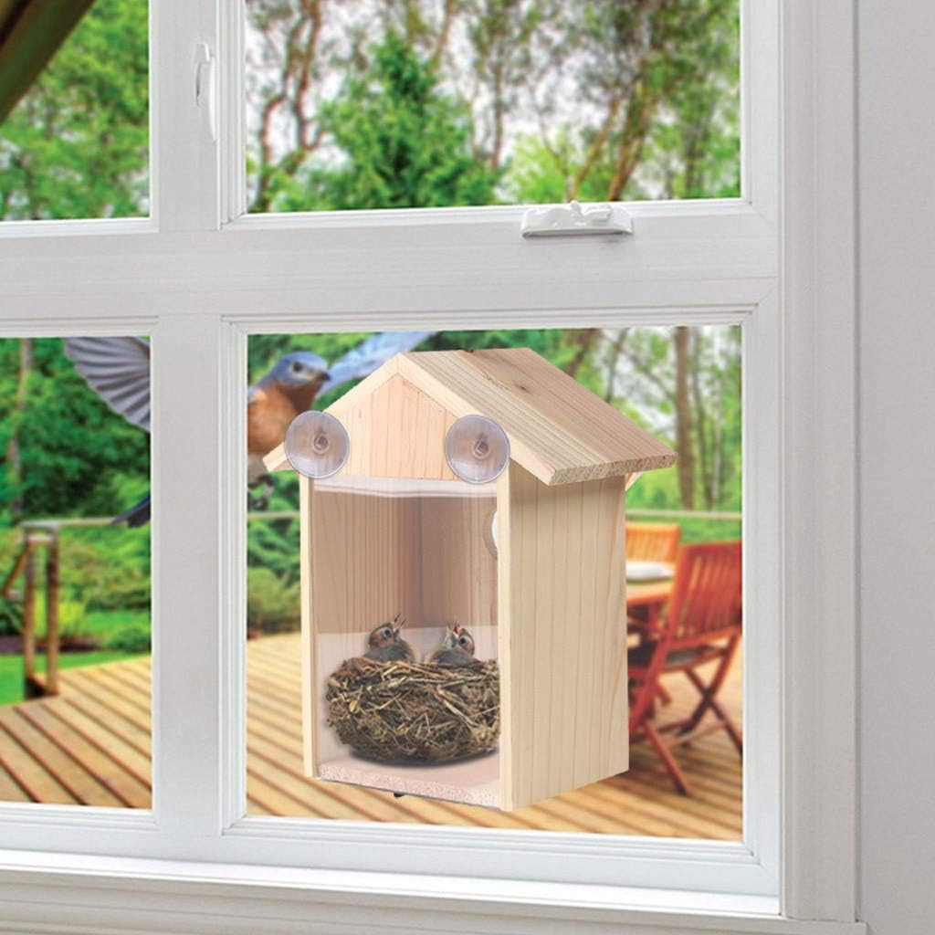 Cabane Oiseaux Exterieur Window Birdhouse -See Through Spy One Way ...