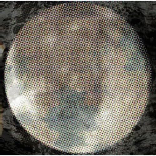 Amazon.com: Moon: CDs & Vinyl