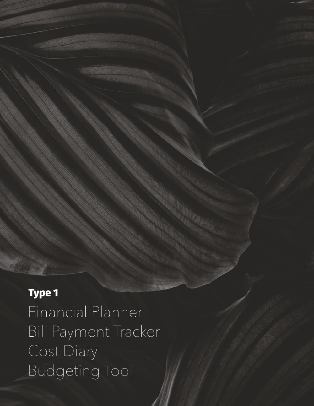 Monthly Financial Planner, Bill Payment Tracker, Cost Diary, and ...