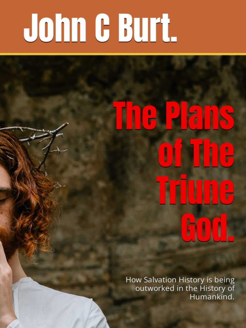 The Plans of The Triune God.: How Salvation History is being outworked in the History of ...