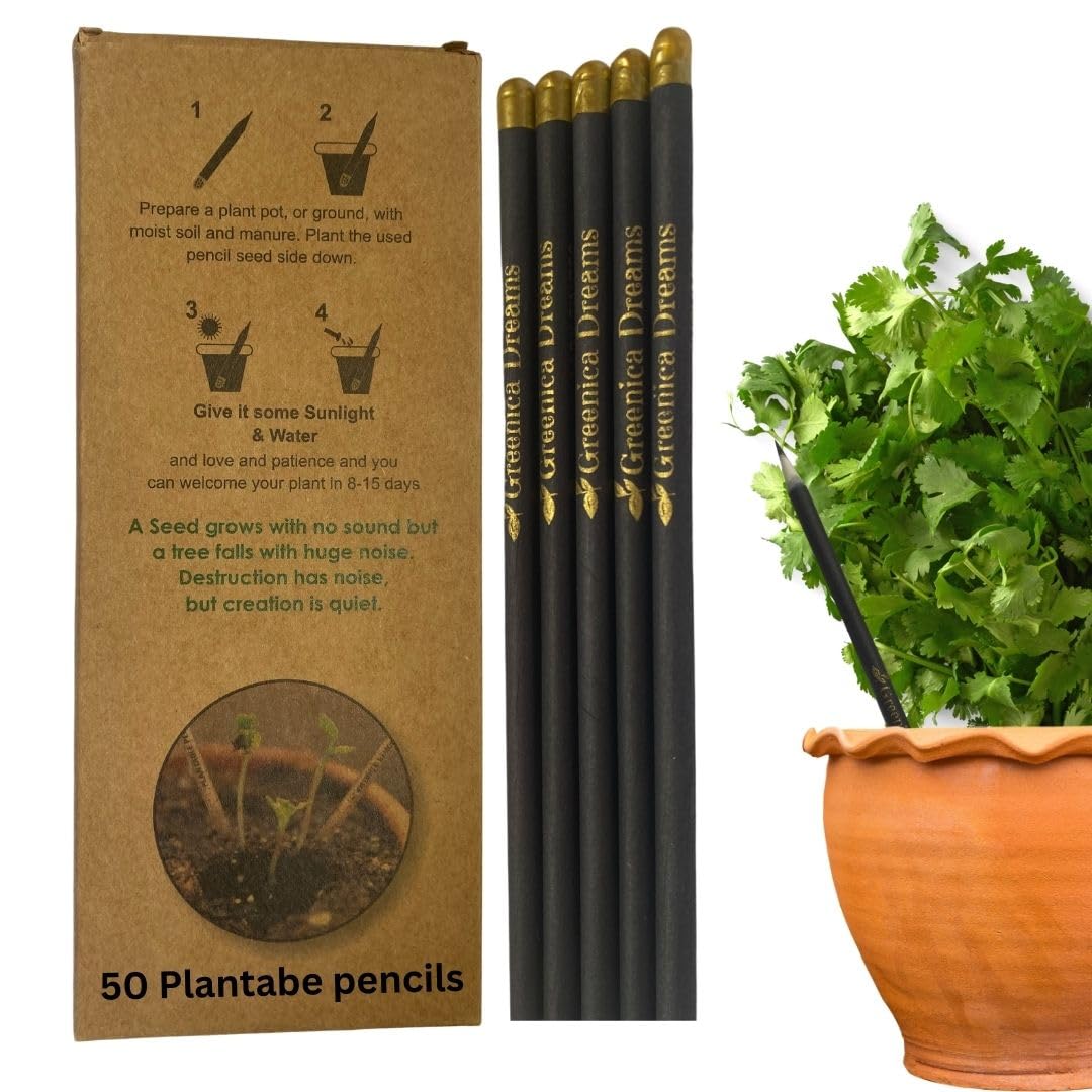 Amazon.com : Greenica Dreams Eco Friendly Pencils Birthday Return Gift ...
