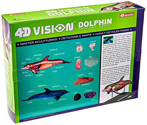 Famemaster 4D-Vision Dolphin Anatomy Model - Want It All