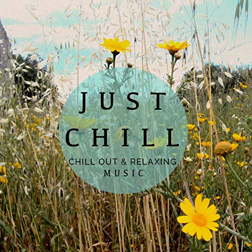 Amazon.com: Just Chill - Chill out & Relaxing Music, Vol. 1 (Finest ...