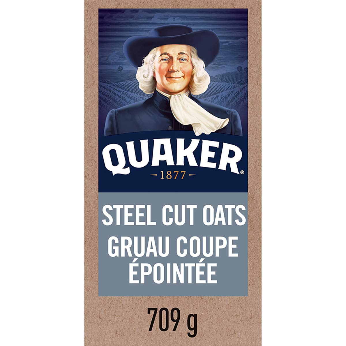 Quaker Quick Cook Steel Cut Oats, 709 g (Pack of 1) : Amazon.ca ...