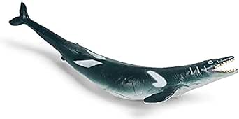 Amazon.co.jp: EUHELOPA Basilosaurus Figure, Whale, Animal, Toy ...