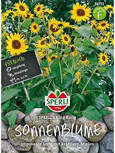 Sunflower Sonnenblumen Hack – Die 15 besten Produkte im Vergleich ...