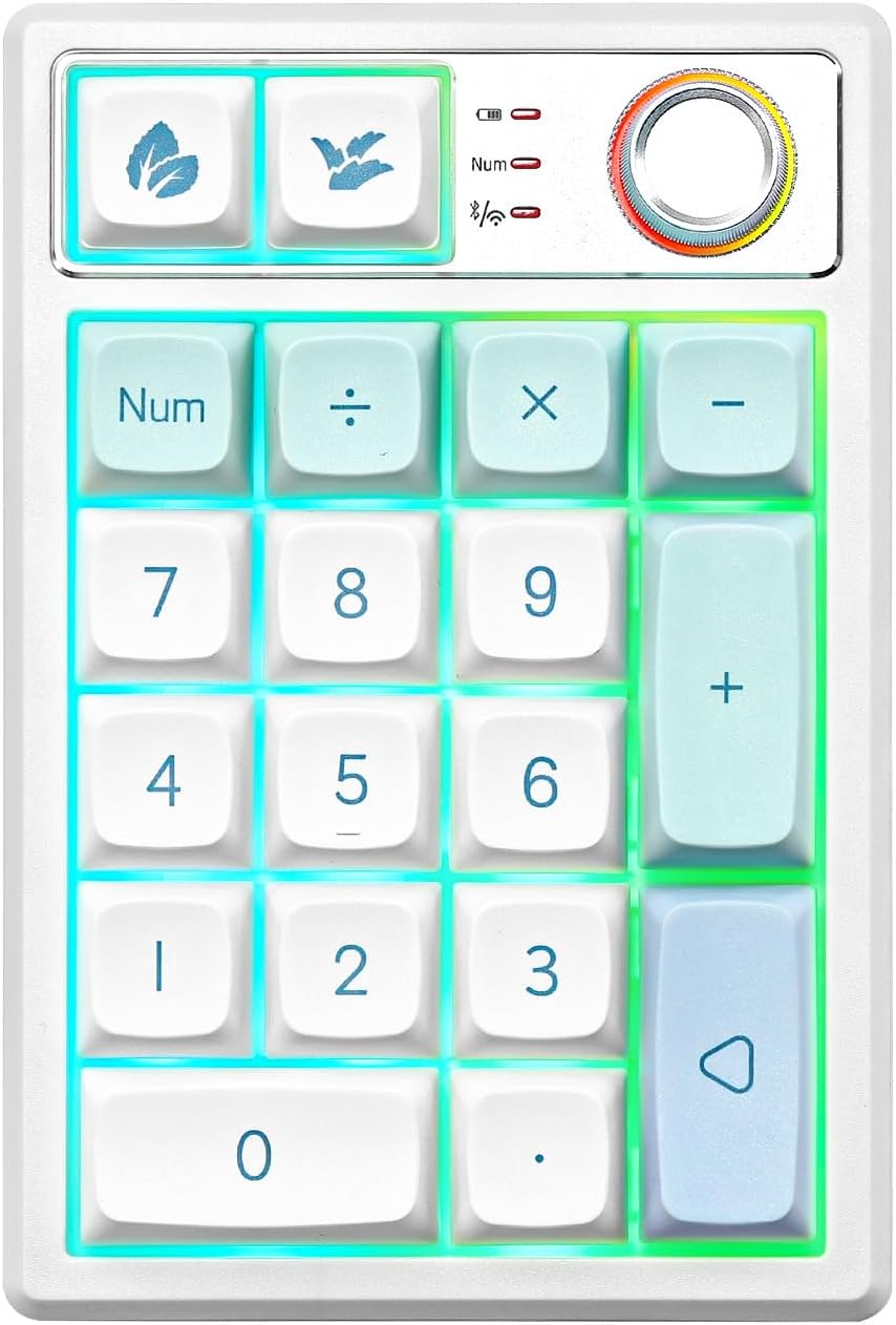 Amazon.com: YUNZII YZ19 Wireless Mechanical Number Pad,19 Keys Numeric ...