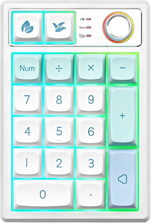 Amazon.com: YUNZII YZ19 Wireless Mechanical Number Pad,19 Keys Numeric ...