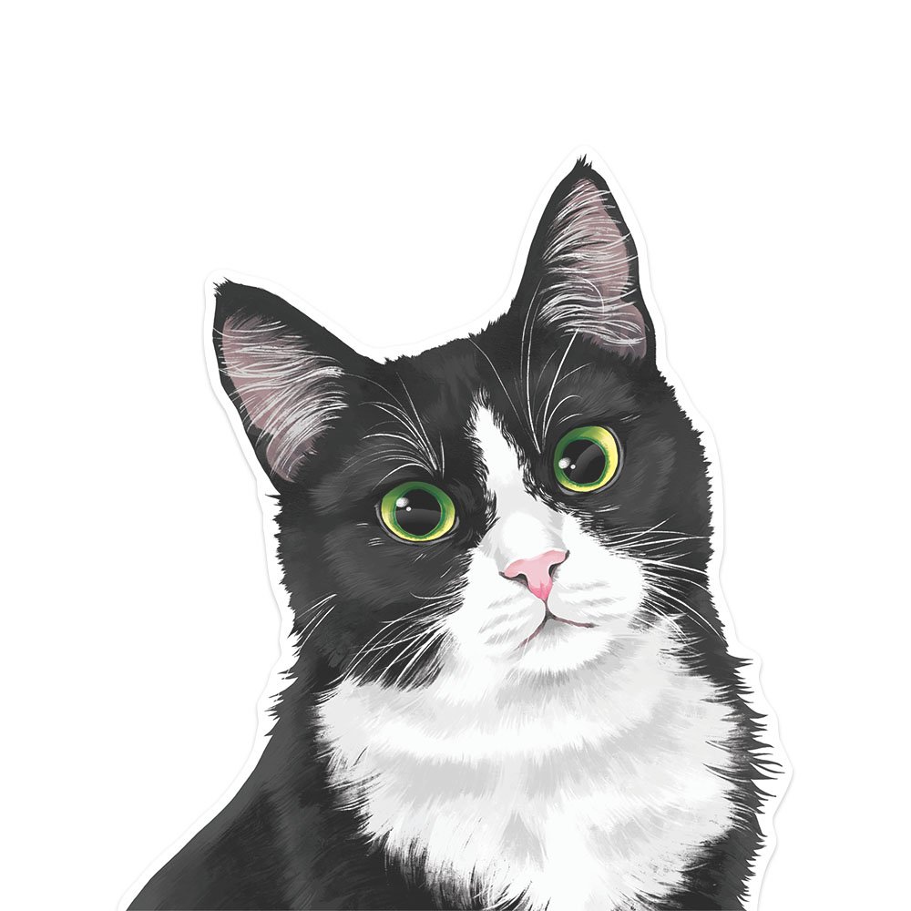 Tuxedo Cat Drawing Cute
