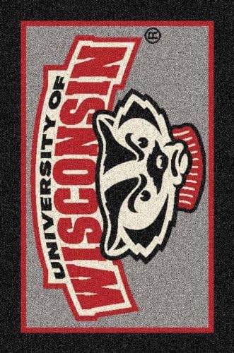 Amazon.com: Wisconsin Badgers "Mascot" 7' 8" x 10' 9" Team Spirit Area ...