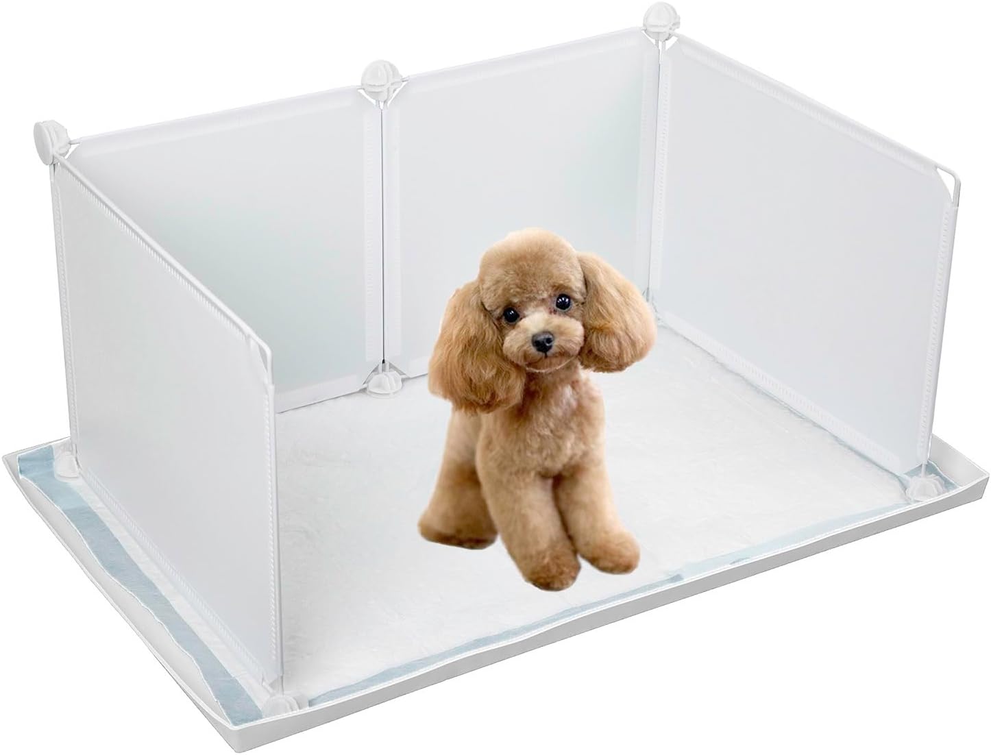 Amazon.com: Dog Litter Box with High Walls,Indoor Dog Potty for Small ...