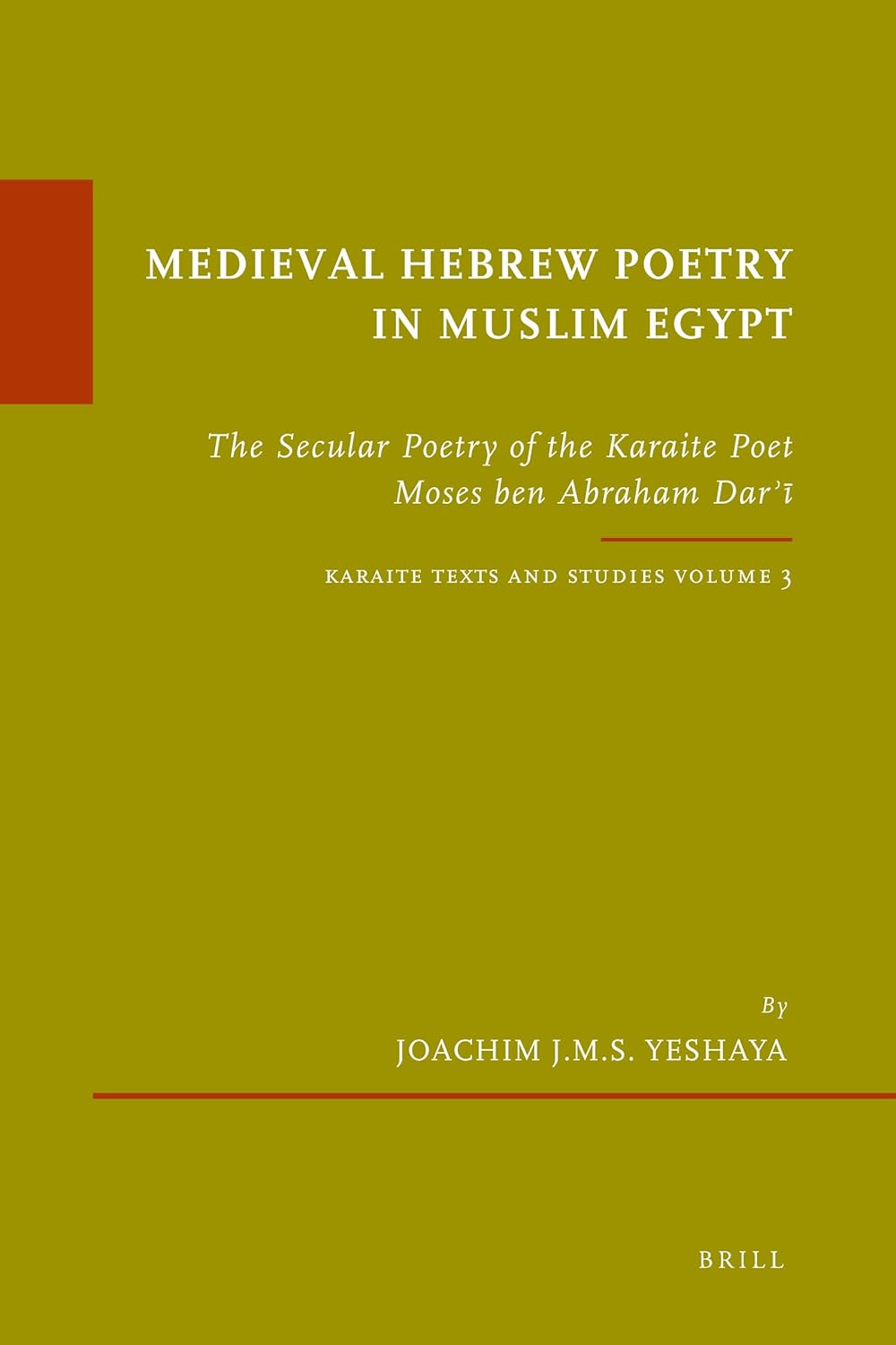 Amazon.com: Medieval Hebrew Poetry in Muslim Egypt: The Secular Poetry ...