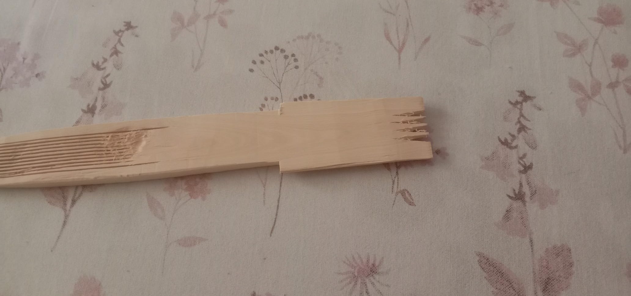 Buy advancedestore Wooden & Plastic Fine Tooth Dust Lice Remove Clean ...