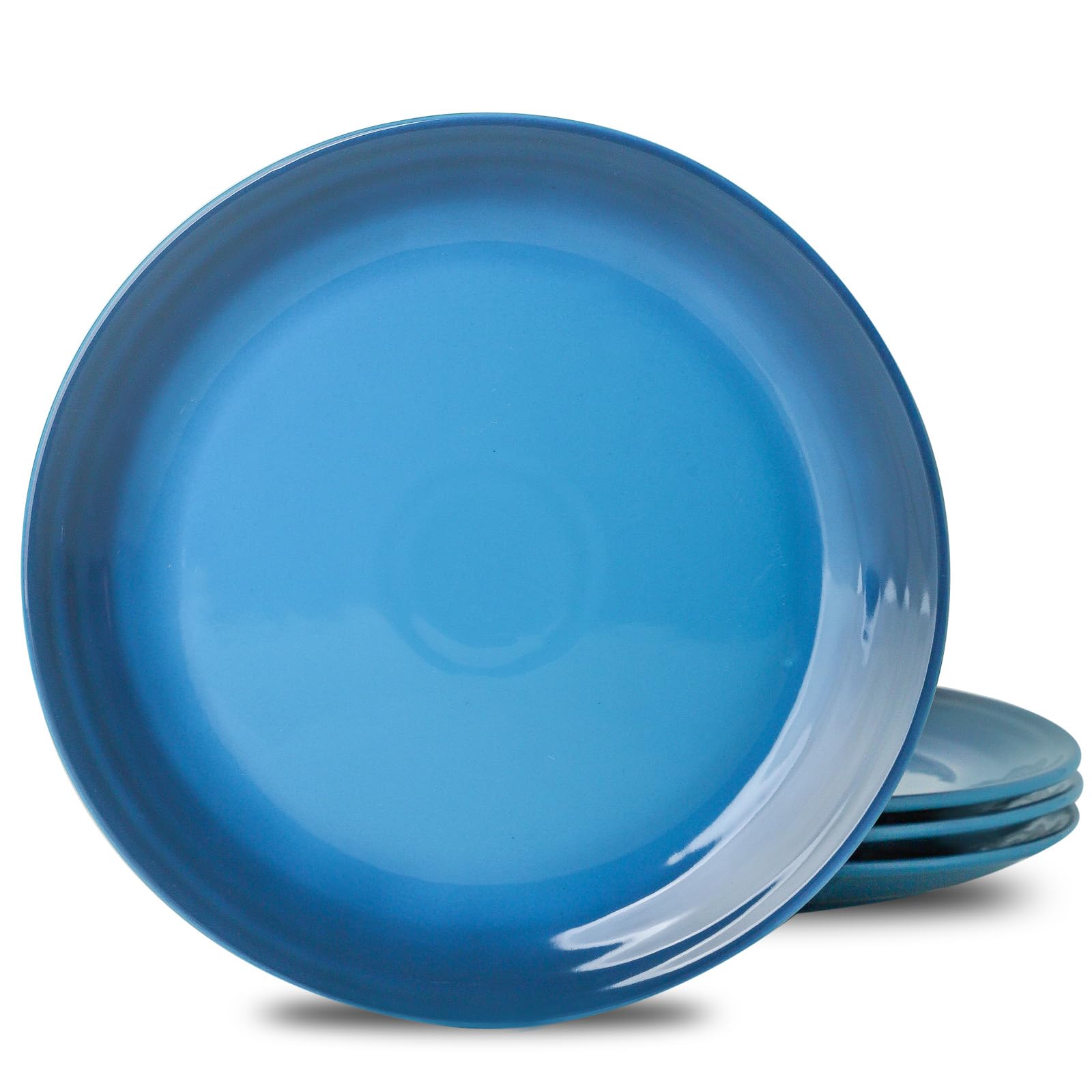 Hasense Ceramic Dinner Plates Set of 4, 10 Inch Dinnerware Dishes Set ...