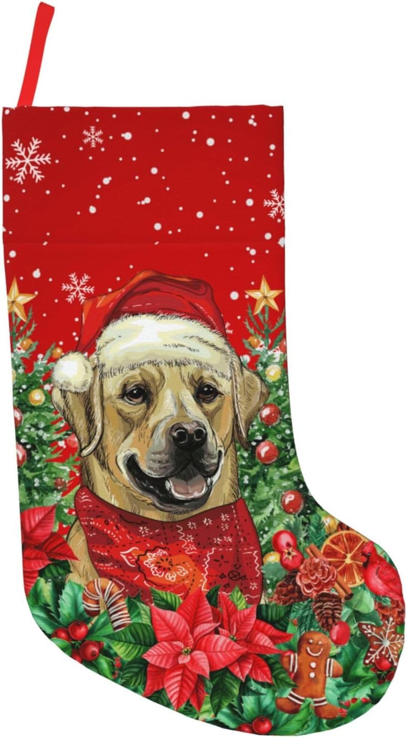 Amazon.com: Golden Retriever Labrador Santa Christmas Red Snowflake ...
