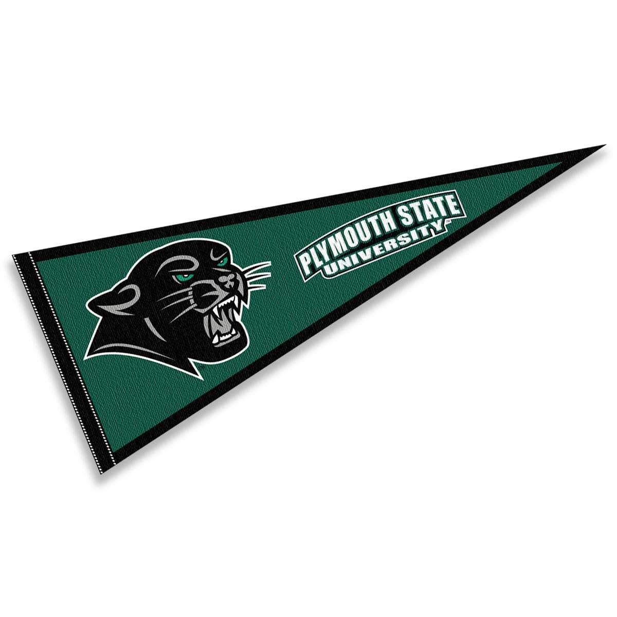 Plymouth State Panthers Mascot Plymouth State University NamuWiki