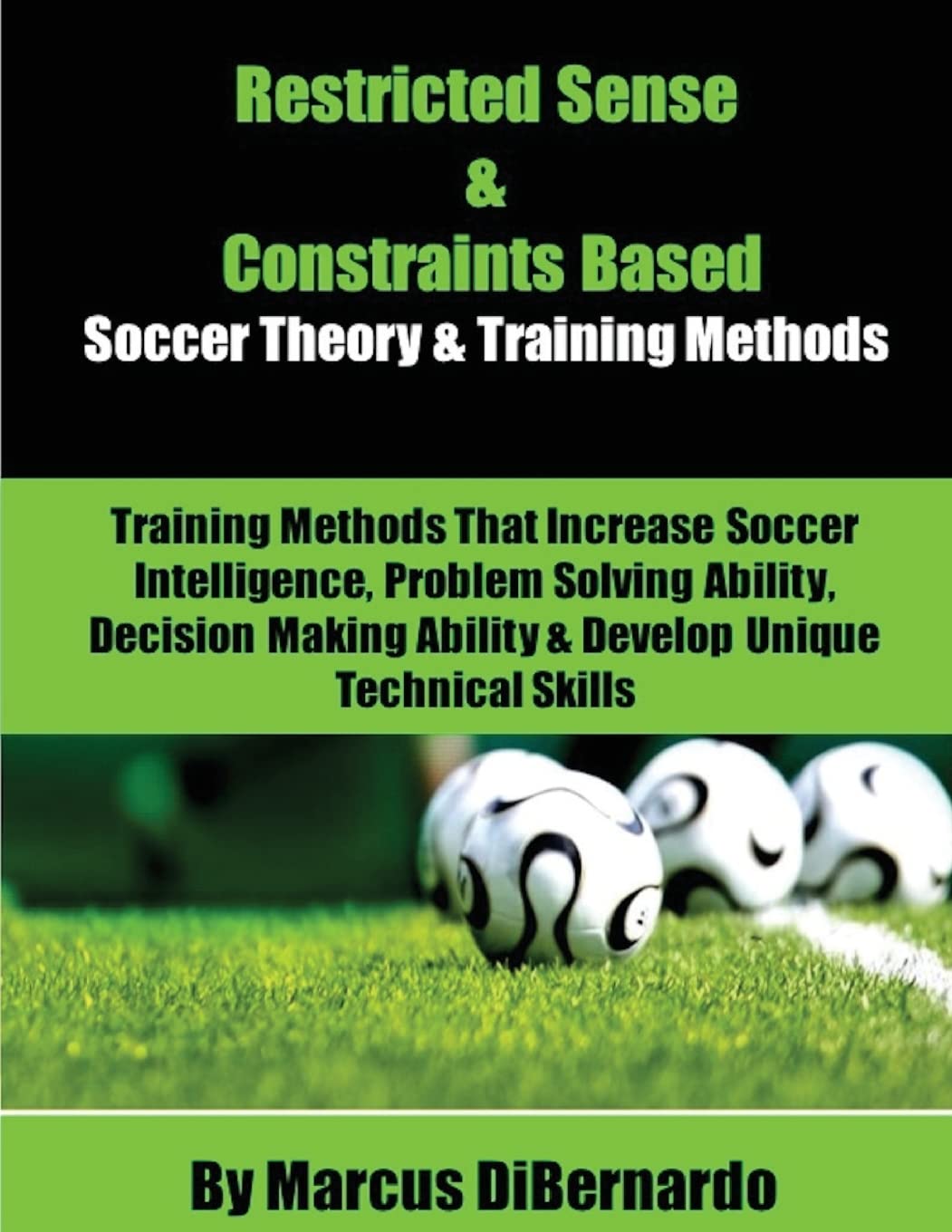 Restricted Sense & Constraints Based: Theory & Training Methods ...
