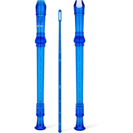 Amazon.com: SWAN Soprano Recorder Instrument for Beginners Kids Student ...