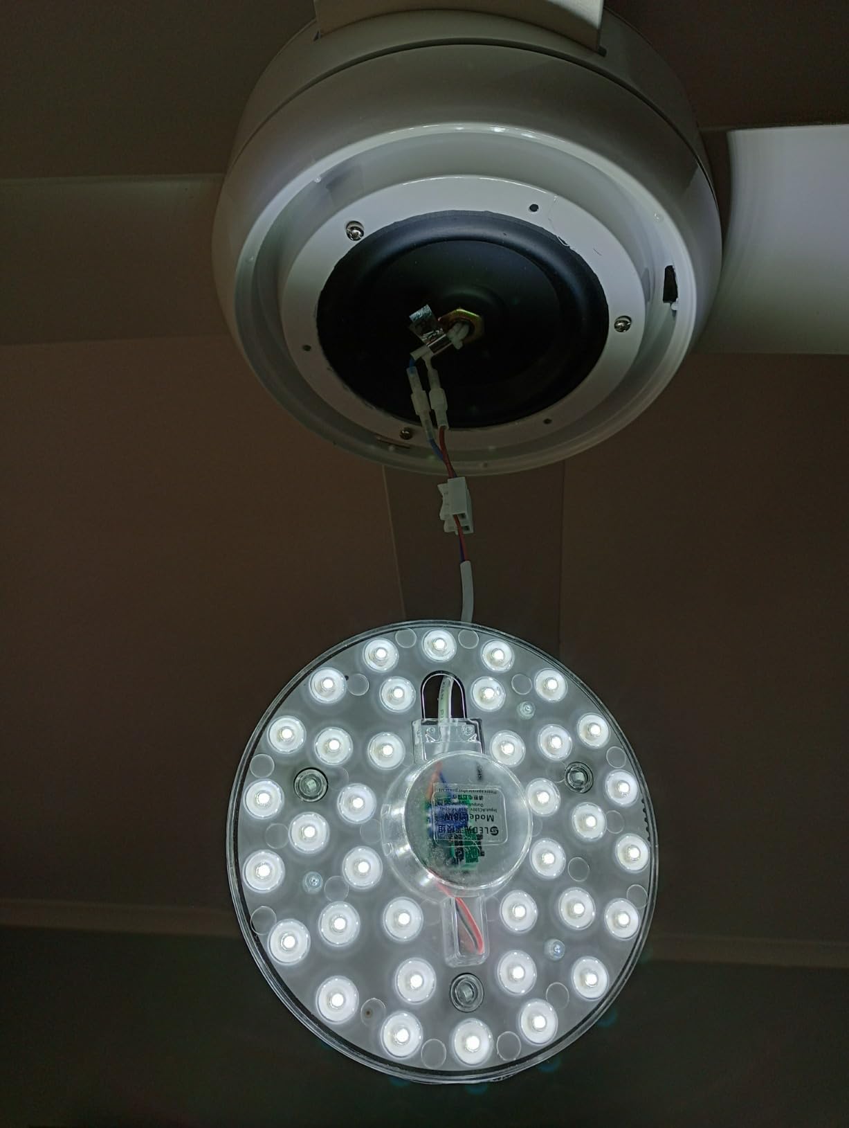 qzjijosen Round LED Light Engine Kit,LED Module Bulb Lamp Source,5500 ...