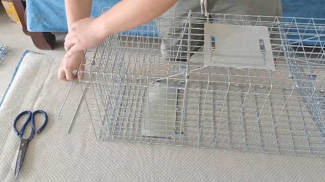 Watch JT Eaton 485N Answer Single Door Live Animal Cage Trap for Medium ...