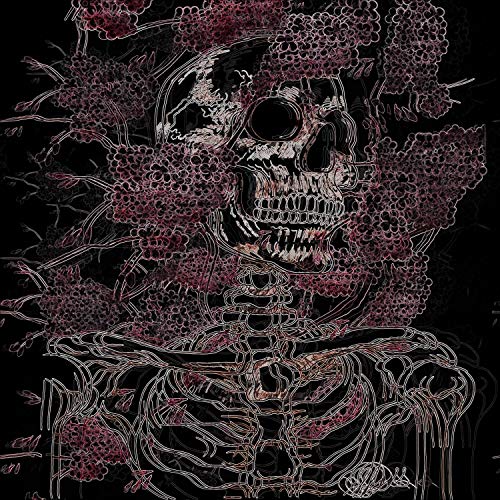 Play dethroned by Kibop on Amazon Music