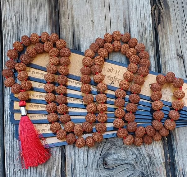 NEXG Precious Five Face Rudraksha Mala Original Certified Nepal A ...
