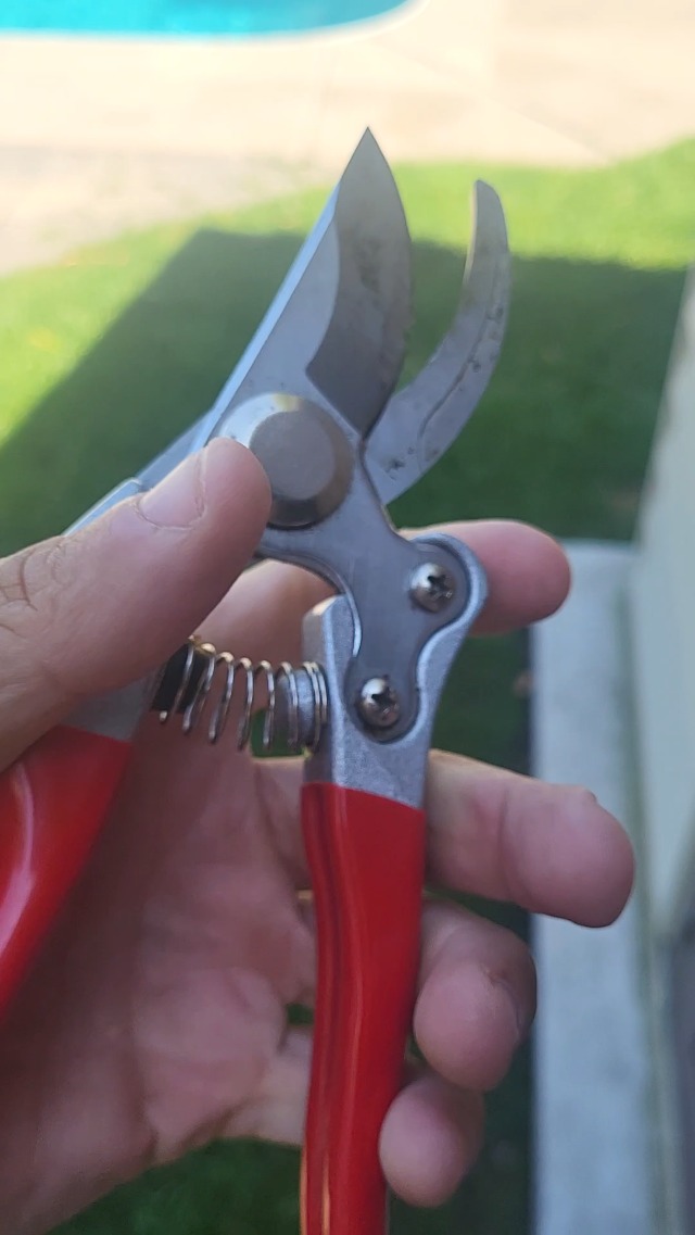 Watch Hand Pruning Clippers on Amazon Live