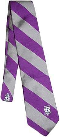 Amazon.com: Greekgear Sigma Alpha Mu Executive Fraternity Neckties ...