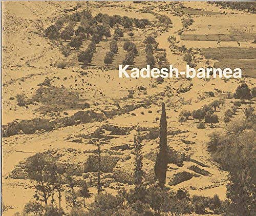 Kadesh-Barnea: A Fortress from the Time of the Judaean Kingdom: Cohen ...