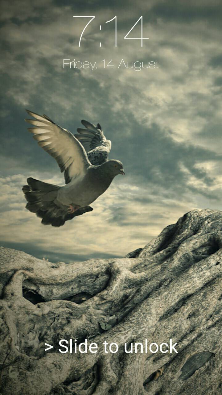 WatchDog - App on Amazon Appstore