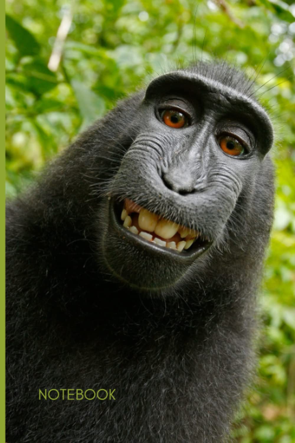 Monkey Notebook: Funny Smiling Macaque Monkey, A Great Gift for Monkey ...
