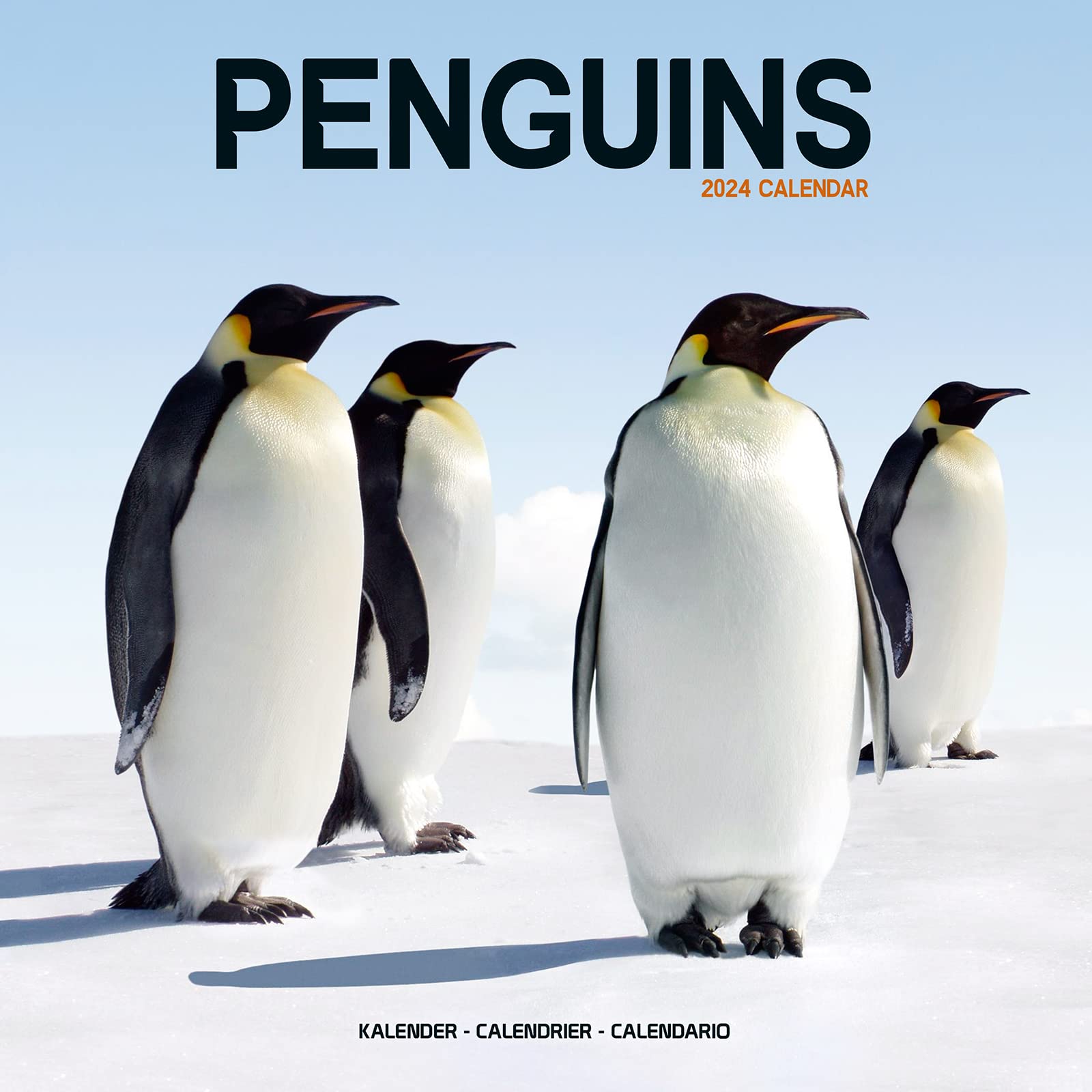 Penguin Calendar - Cute Animal Calendar - Calendars 2023 - 2024 Wall ...