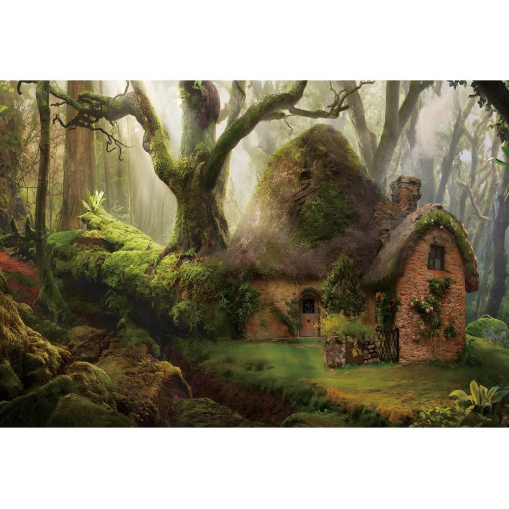 Fantasy Forest Wizard Wallpaper