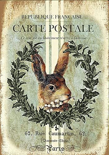 Amazon.com: Weasval French Rabbit Carte Postale Vintage Tin Sign ...